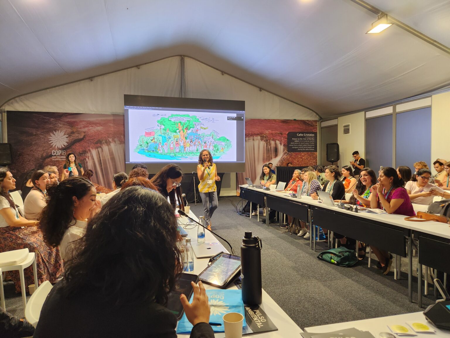 COP16 | Side event "Empoderando a las mujeres defensoras del medio ...